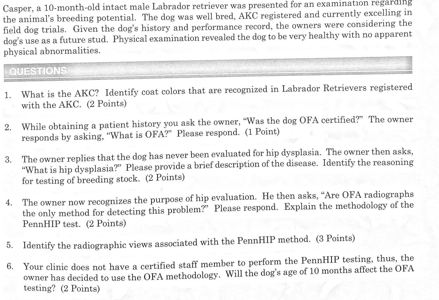 Solved Casper, a 10-month-old intact male Labrador retriever | Chegg.com