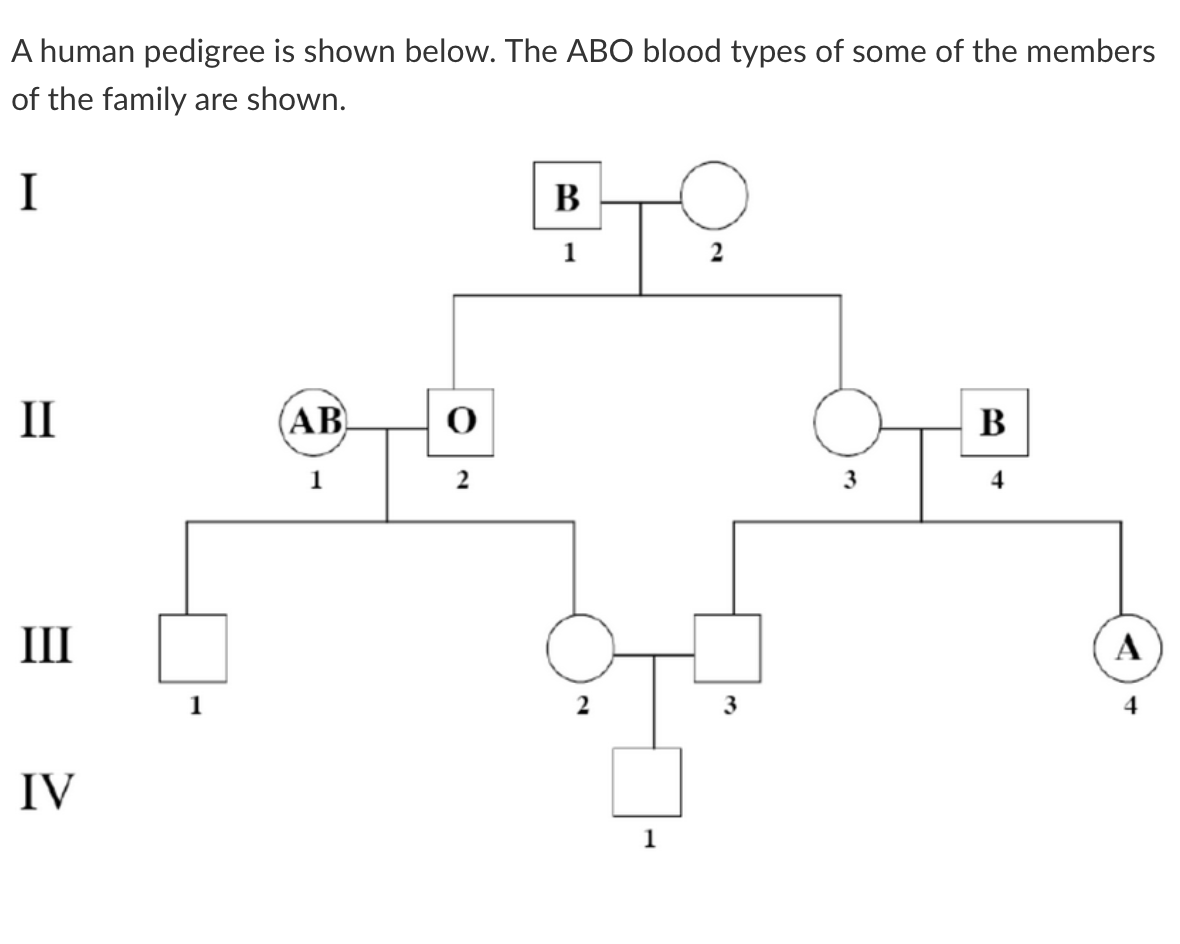 Solved A human pedigree is shown below. The ABO blood types | Chegg.com