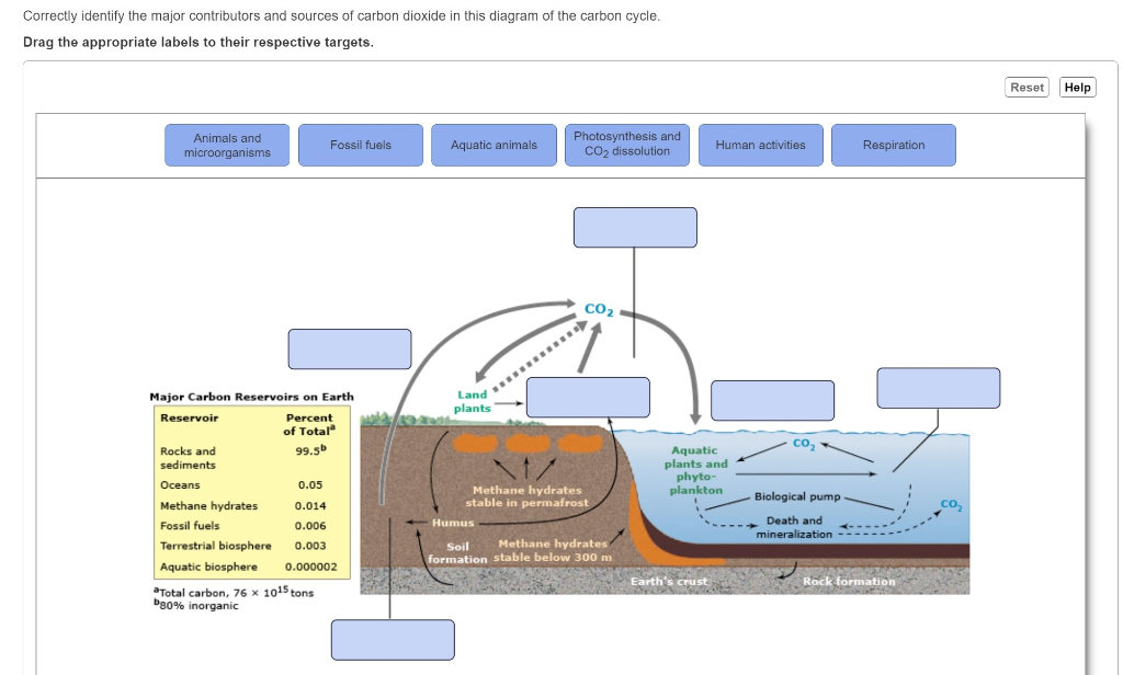 Solved Correctly identify the major contributors and sources | Chegg.com