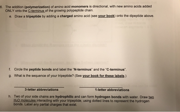 Solved 6. The addition (polymerization) of amino acid | Chegg.com