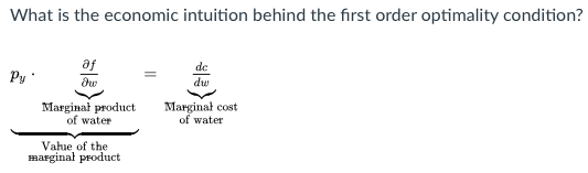 Solved What is the economic intuition behind the first order | Chegg.com
