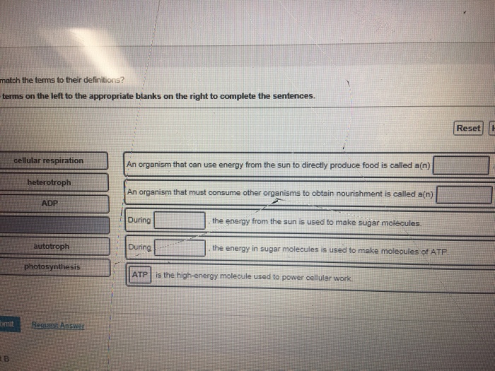Solved match the terms to their definitions? terms on the | Chegg.com