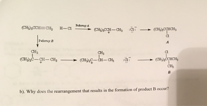 Solved 5. Consider the following reaction: (CH3 CCH-CH HC1 | Chegg.com