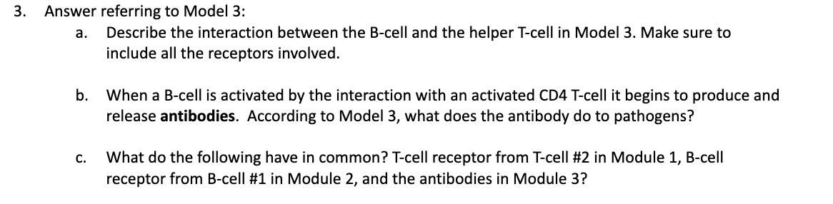 Solved Module 3-B-activation and antibody production Answer | Chegg.com