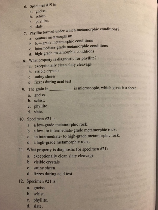 Solved Specimen #19 is a. gneiss. b. schist. 6, c. phyllite | Chegg.com