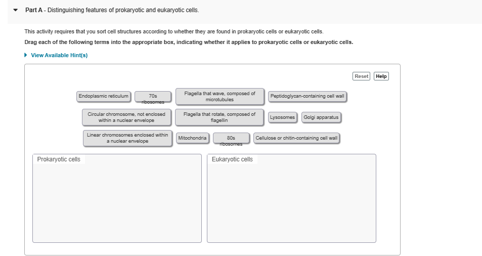 Solved Part A - ﻿Distinguishing features of prokaryotic and | Chegg.com