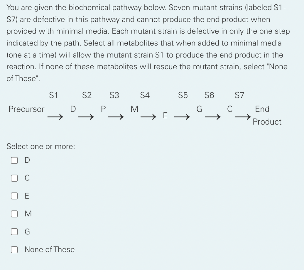 Solved Use the biochemical pathway below to answer this | Chegg.com