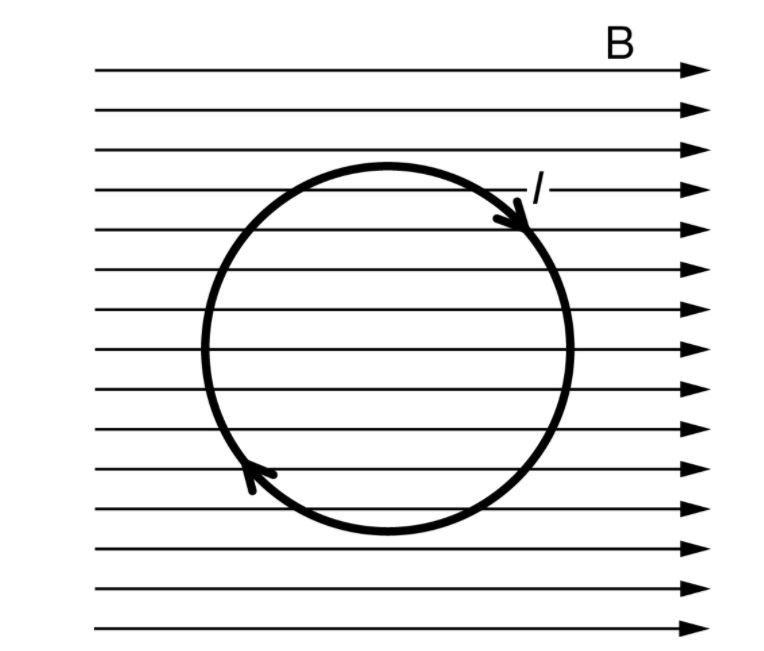 Solved B A conducting loop carrying clockwise current I is | Chegg.com