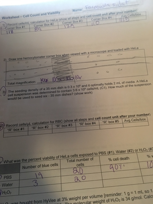 Worksheet-Cell Count and Viability 1) Record cells/ml | Chegg.com