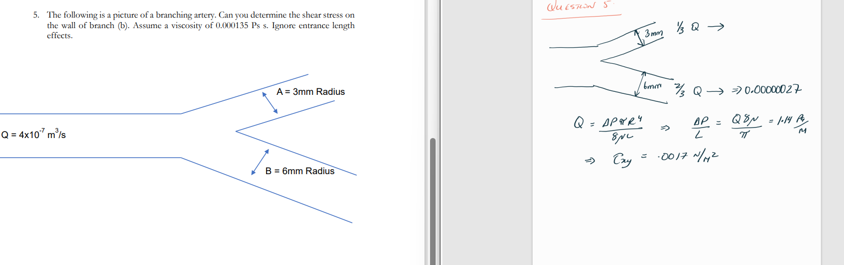 Solved 5. The following is a picture of a branching artery. | Chegg.com