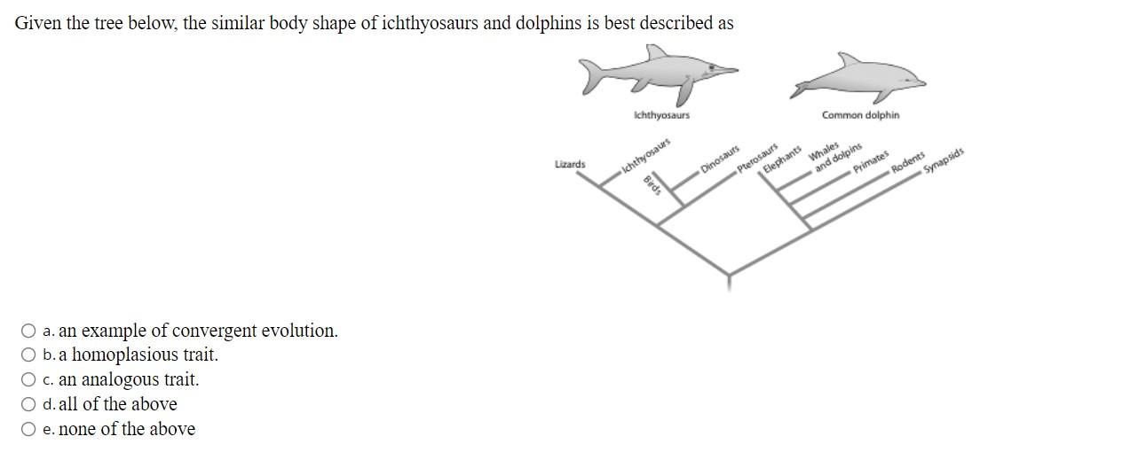 Solved Given the tree below, the similar body shape of | Chegg.com