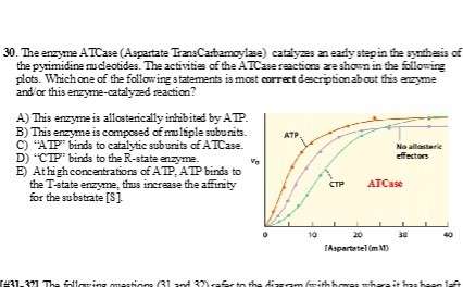 Solved 30. The enzyme ATCase (Aspartate TransCartamoylase) | Chegg.com