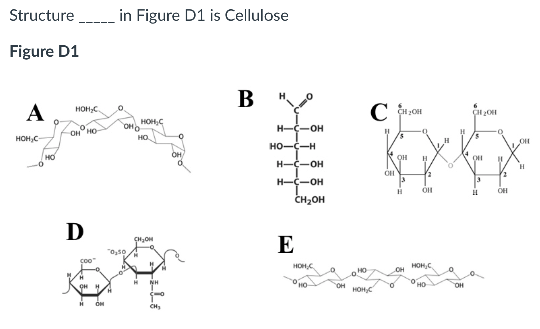 Solved Structure in Figure D1 is Cellulose Figure D1 B 6 A | Chegg.com