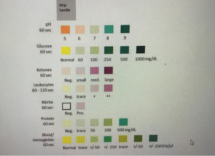 Solved Activity 2 Data Table 2. Chemical values of urine | Chegg.com
