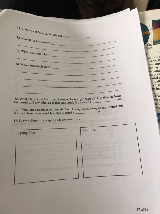 Solved 11. The rise and fall in sea level is called a 12. | Chegg.com
