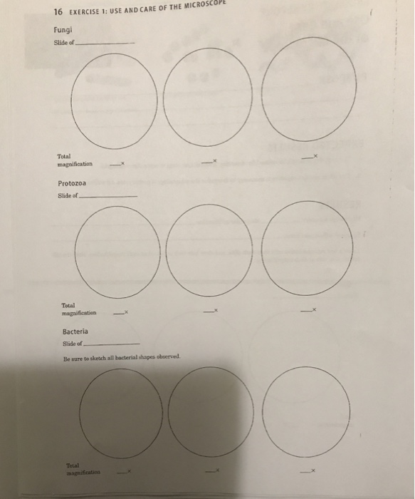 Draw a few representative cells from each slide, and | Chegg.com