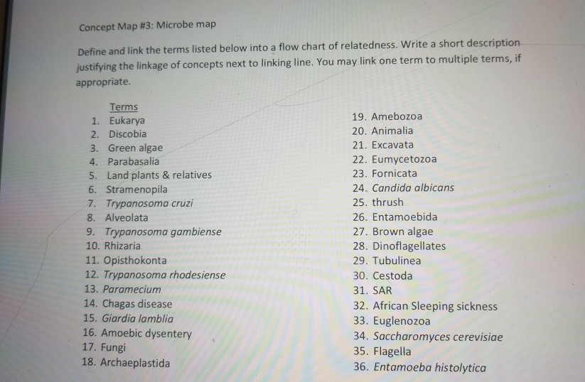 Solved Concept Map #3: Microbe map Define and link the terms | Chegg.com