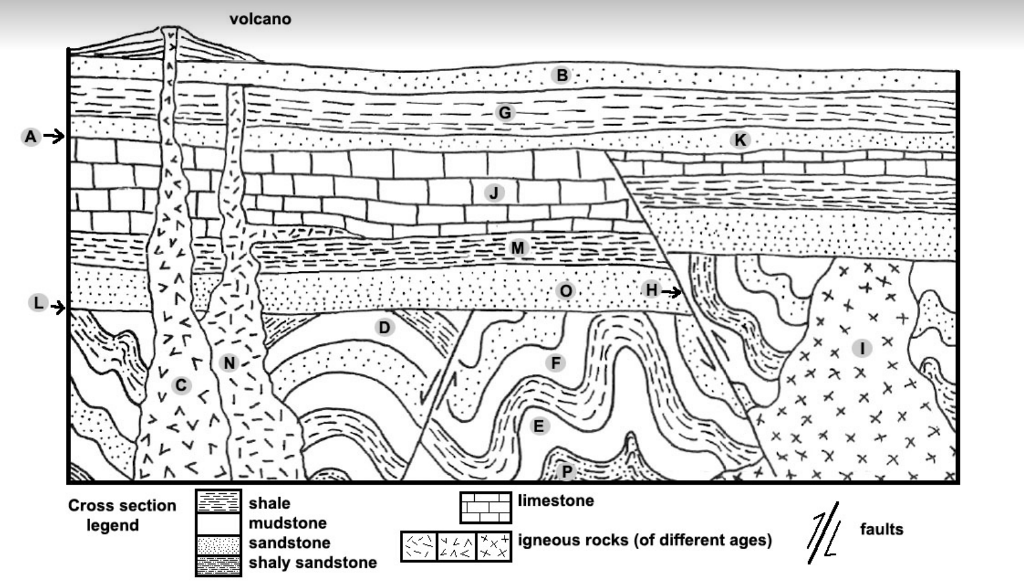 Solved Question 1: Figure 1: Geologic cross section. | Chegg.com