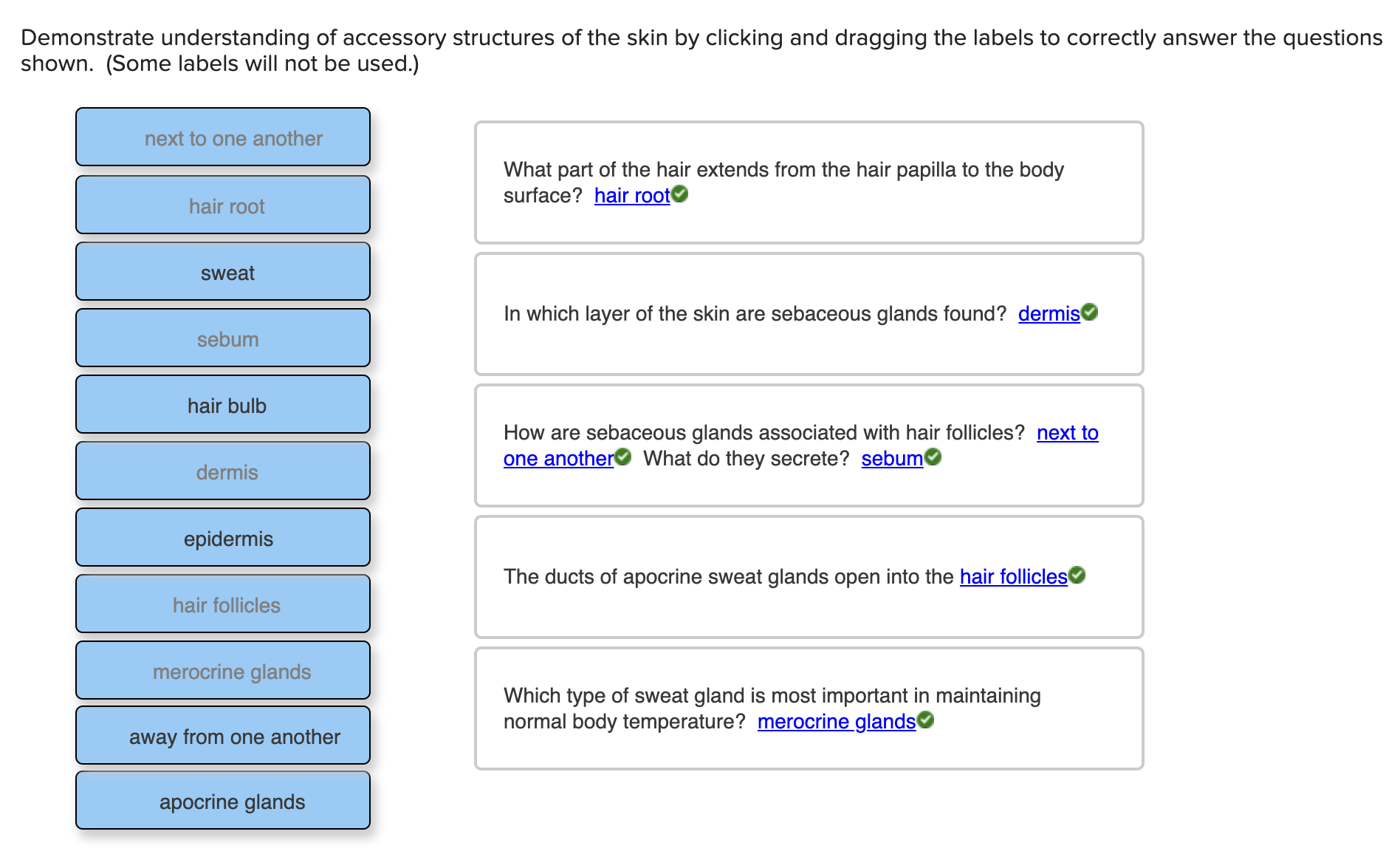 Solved Demonstrate understanding of accessory structures of | Chegg.com