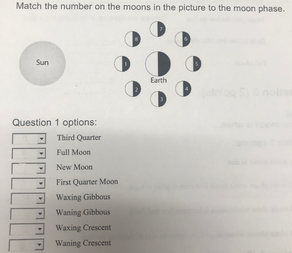 Solved Match the number on the moons in the picture to the | Chegg.com