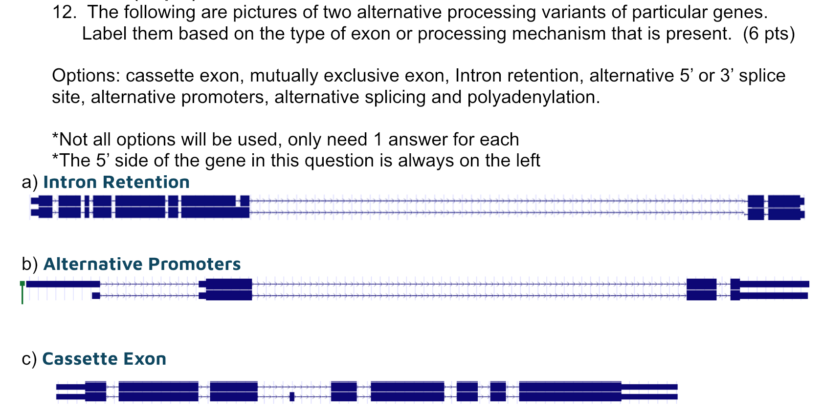 Solved The following are pictures of two alternative | Chegg.com