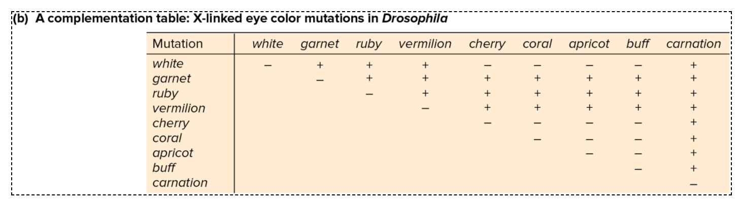 Solved (b) A complementation table: X-linked eye color | Chegg.com