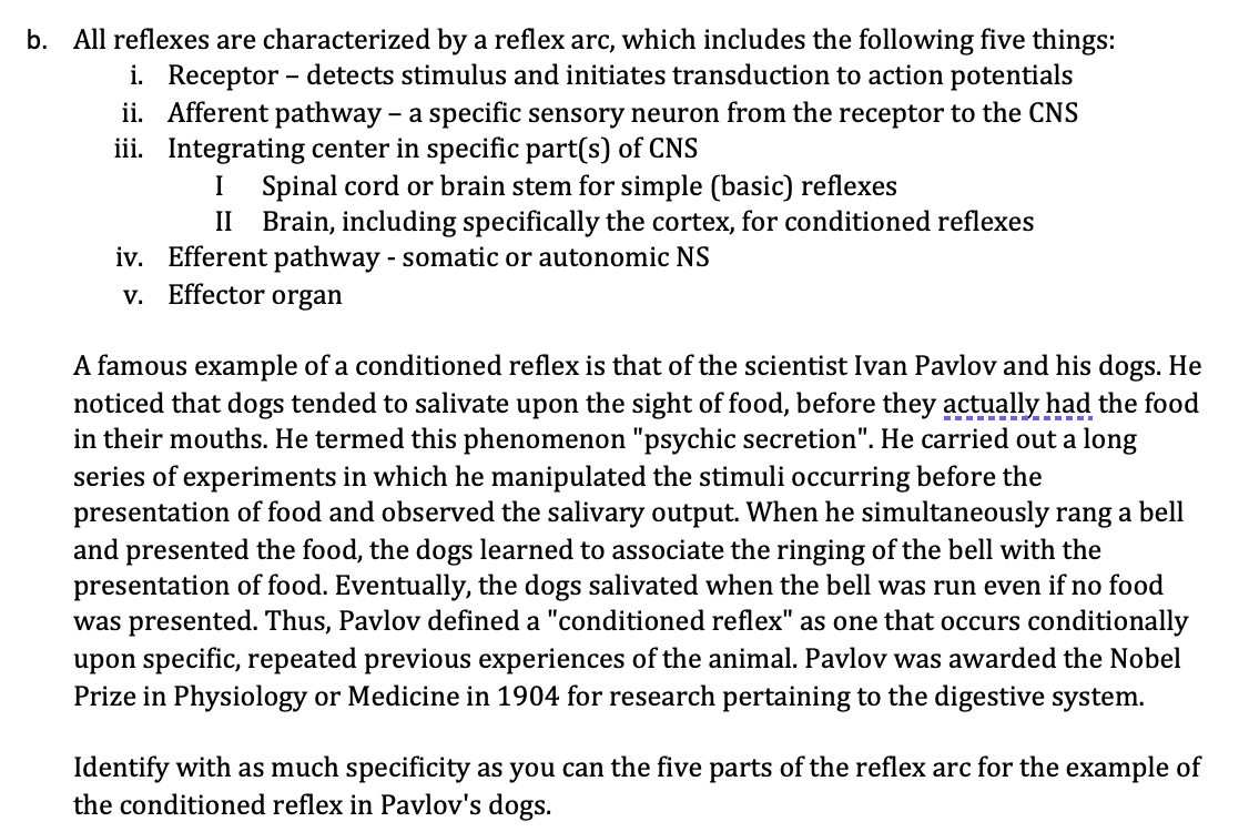 Solved All reflexes are characterized by a reflex arc, which | Chegg.com