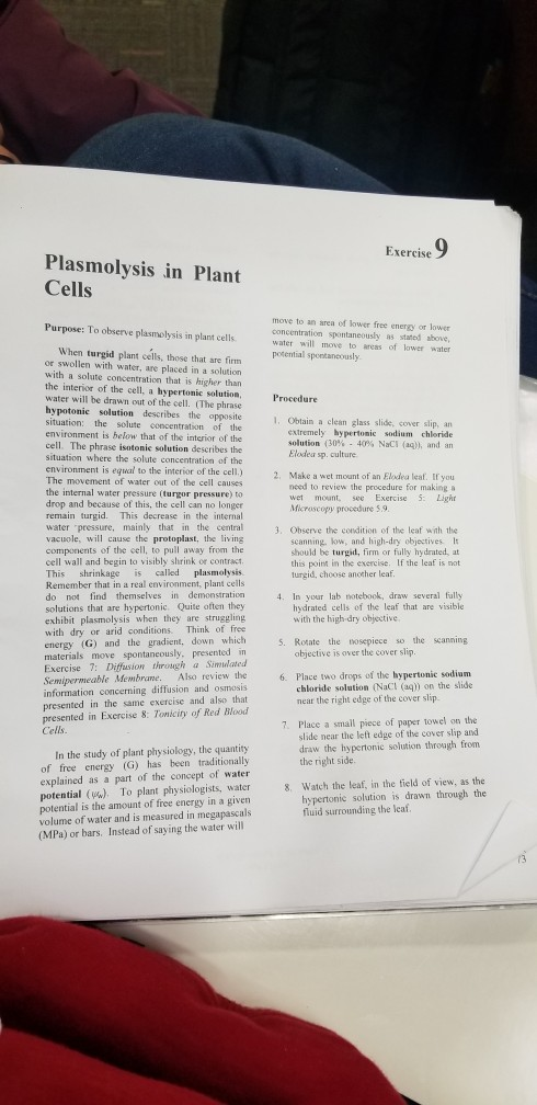 A Plant Cell Placed In Hypotonic Solution Gets Plasmolysed / 2 1 ...