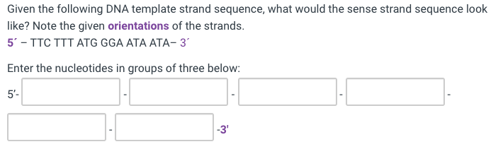 Solved Given the following DNA template strand sequence, | Chegg.com