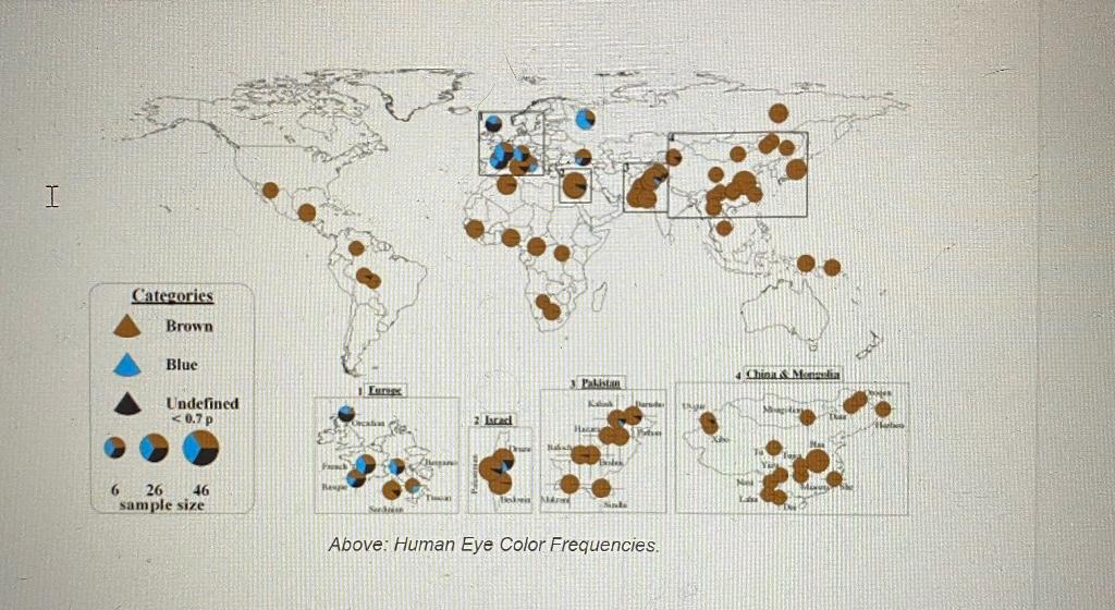 Lab 7: Biology and Race I f 20°N.-- equator 20°S. | Chegg.com
