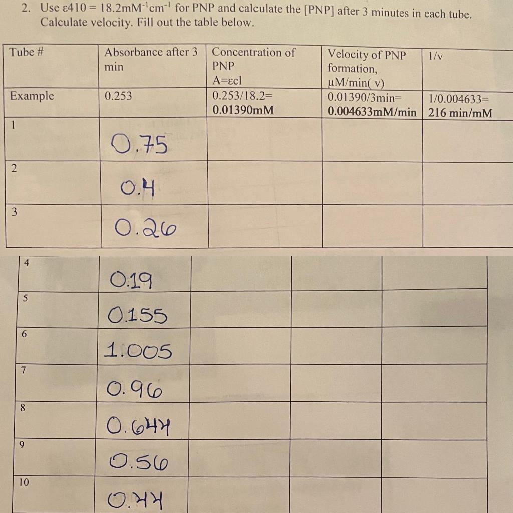 Solved Use for PNP and calculate the [PNP] after 3 minutes | Chegg.com