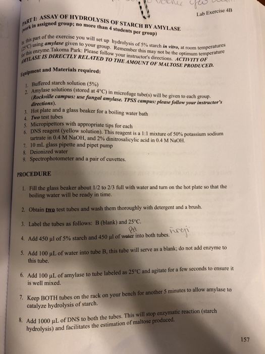 Solved EXERCISE 4B ENZYMES Functional and Structural | Chegg.com