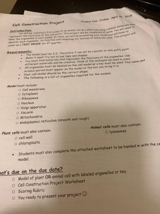 3d Cell Model Project Rubric