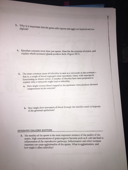 Solved 39. Infertility (Male Reproductive System) Lewis and | Chegg.com