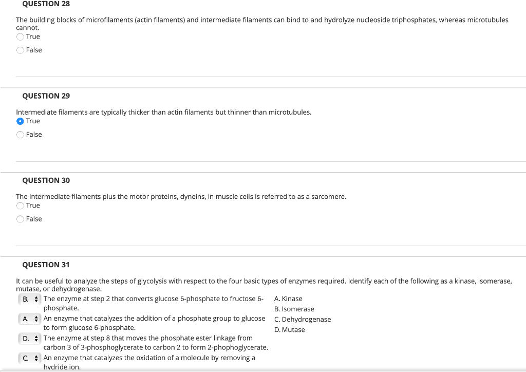Solved QUESTION 28 The building blocks of microfilaments | Chegg.com