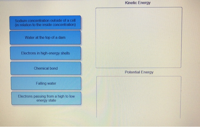 Solved Kinetic Energy Sodium concentration outside of a cell | Chegg.com