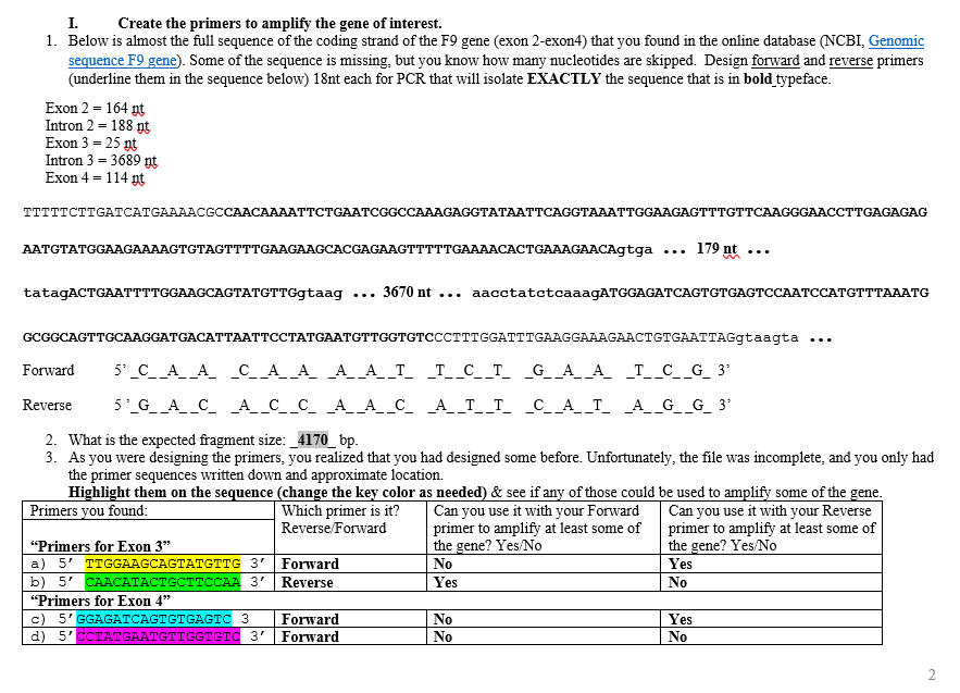 Solved I. Create the primers to amplify the gene of | Chegg.com