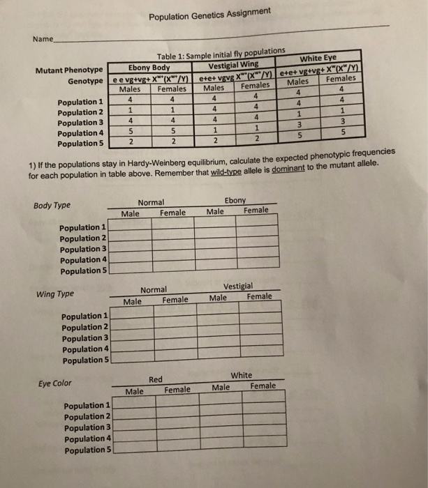 Solved Population Genetics Assignment Name Table 1: Sample | Chegg.com