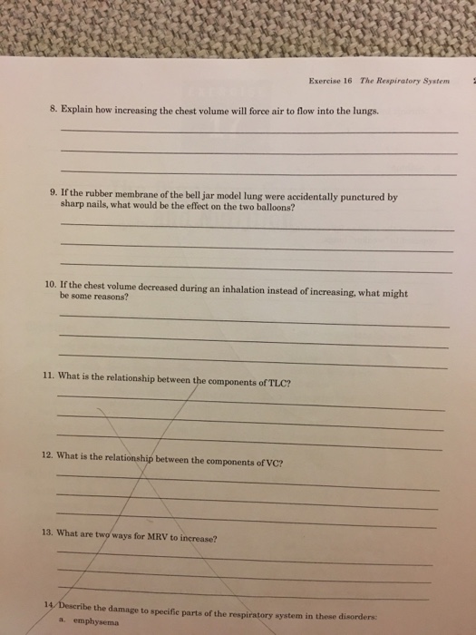 Solved Explain how increasing the chest volume will force | Chegg.com