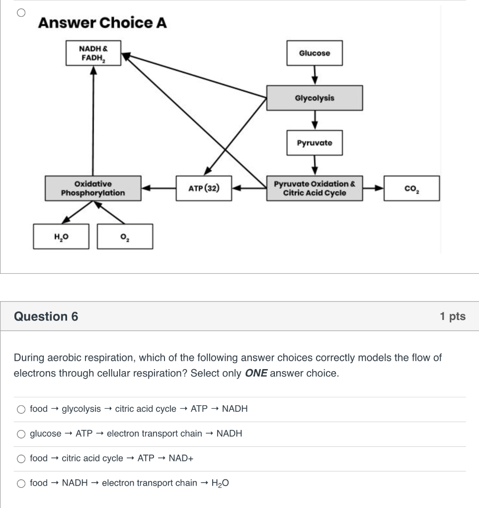 Solved Question 1 1 pts Which of the following processes | Chegg.com