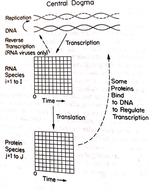 Solved Consider the aspartic acid pathway shown in the | Chegg.com