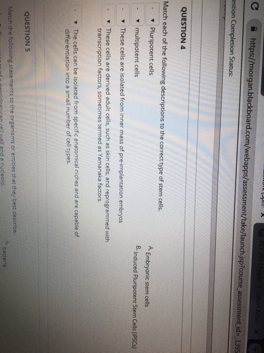 Solved С http://morgan | Chegg.com