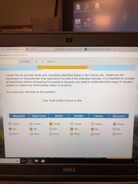 Lab 32 Primate Adaptic × SHESC G Match The Following | Chegg.com