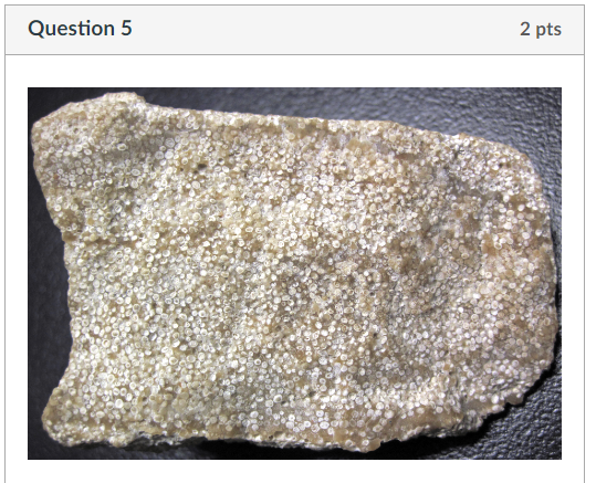 Solved Question 4 2 pts Question 5 Question 4 2 | Chegg.com Solved Question 4 2 pts Question 5 Question 4 2 | Chegg.com