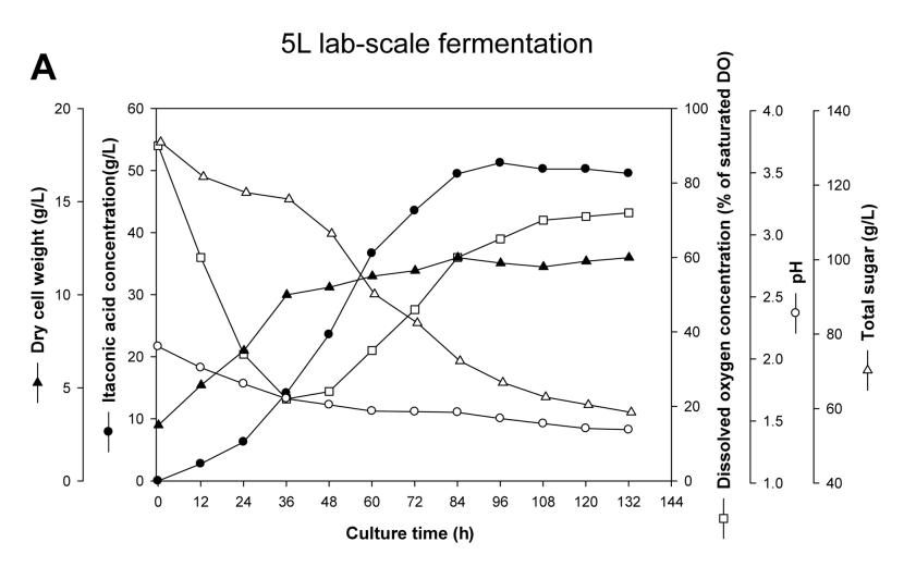 A 5 L lab-scale fermentation50 L pilot-scale | Chegg.com