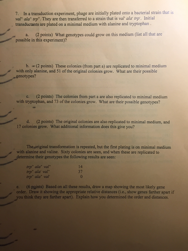 Solved 7. In a transduction experiment, phage are initially | Chegg.com