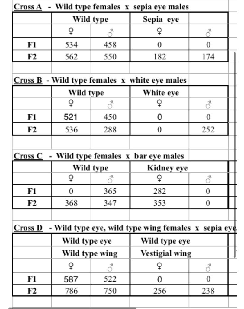 Solved Cross D - Wild tvne eve wild tone wing females x | Chegg.com