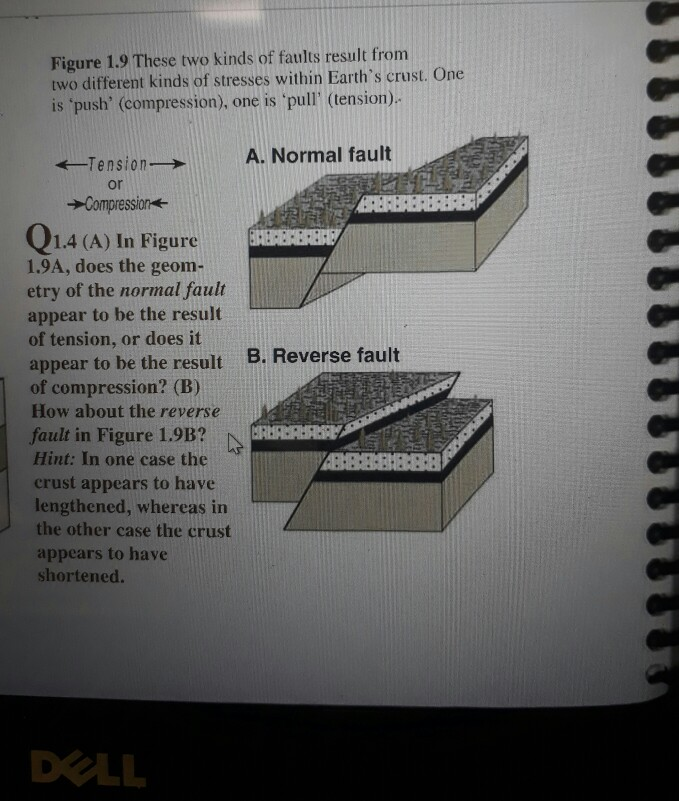 Solved A. Normal fault B. Reverse fault Tension or | Chegg.com