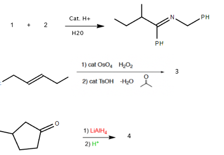 Solved Cat. H+ PH 1 + 2 H2O PH 1) cat OsO H2O2 3 2) cat TOH | Chegg.com