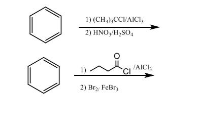 Solved Electrophilic aromatic substitution reaction. Please | Chegg.com